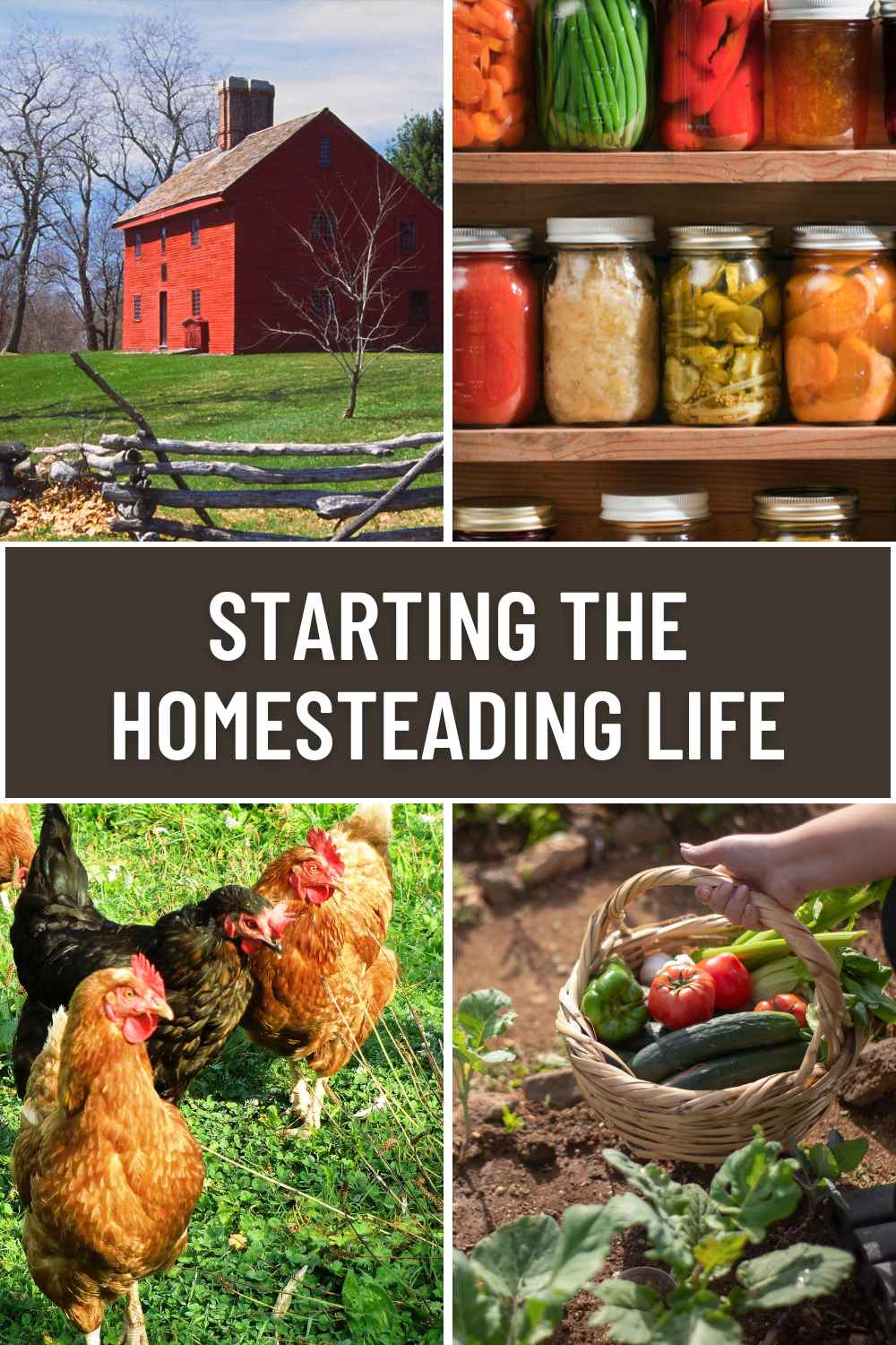 Making The Homesteading Life The New Normal With Guest Jen Sharpin ...