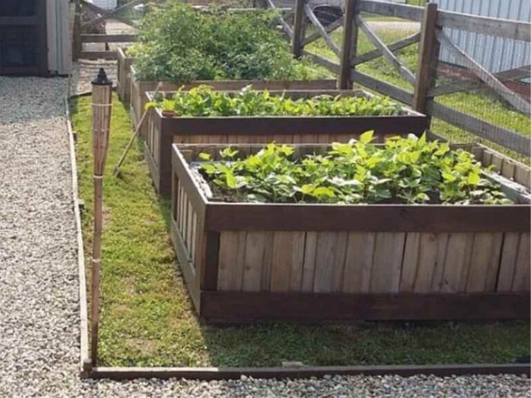 How To Use Pallets To Build Raised Garden Beds - The Small Town Homestead