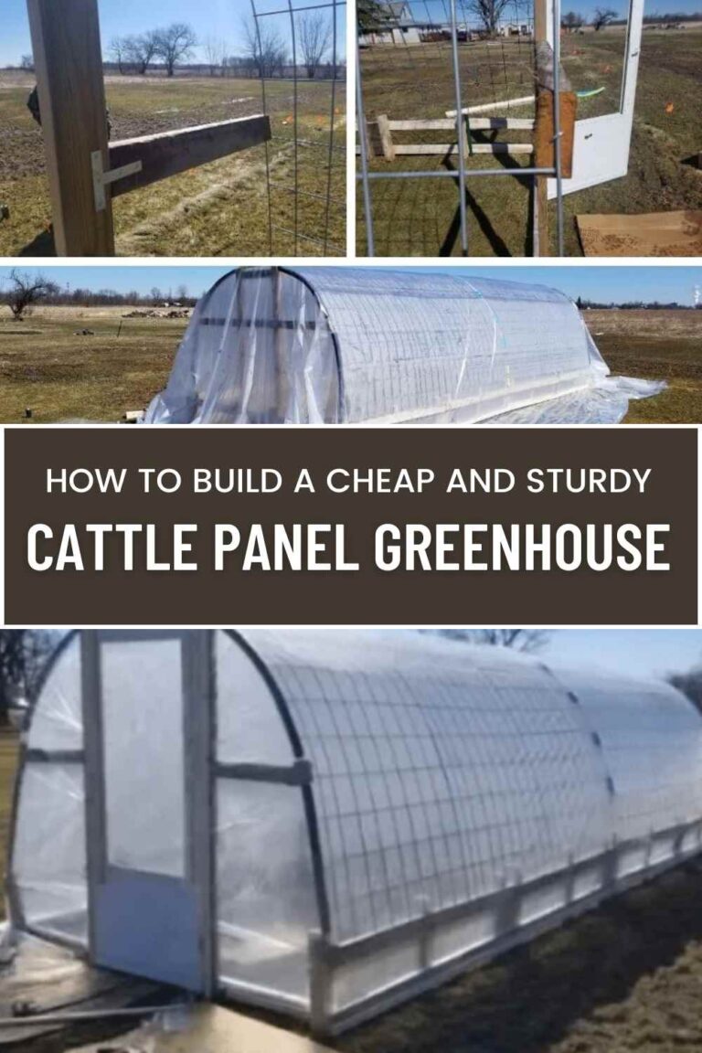 How To Build A Cheap and Sturdy Cattle Panel Greenhouse - The Small ...
