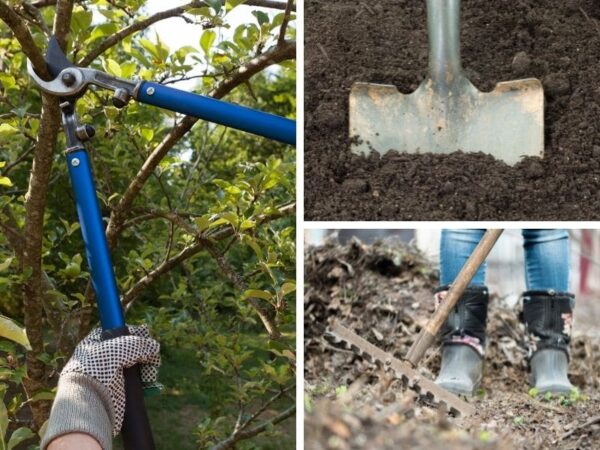 21 Hand Tools That Make Gardening Easier - The Small Town Homestead