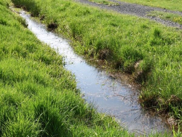 What's The Difference Between A Permaculture Swale and A Ditch? - The ...