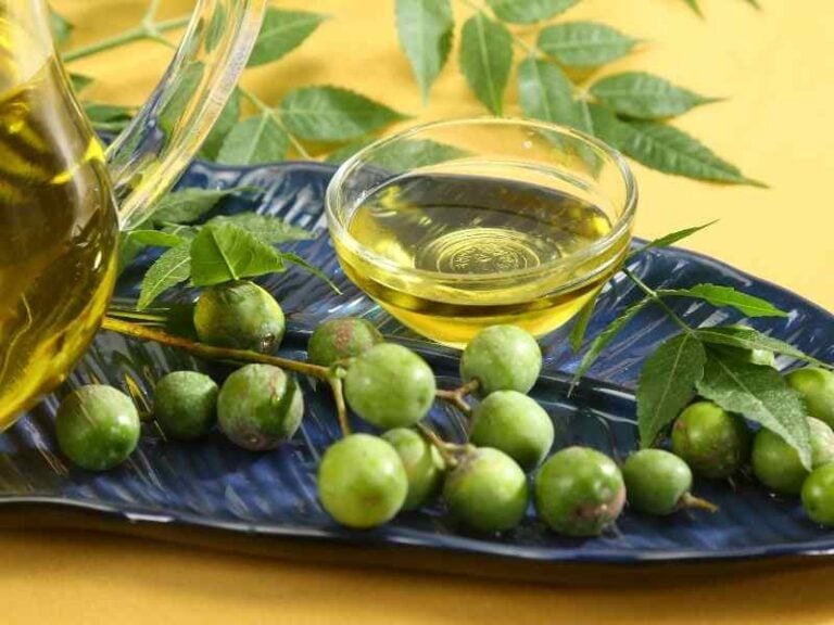 How To Use Neem Oil For Organic Farming: A Quick Guide - The Small Town ...