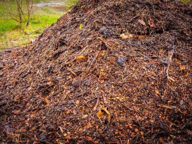 5 Disadvantages Of Organic Farming: Is It Worth It? - The Small Town ...
