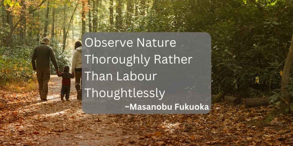 Permaculture Quotes To Inspire and Motivate - The Small Town Homestead