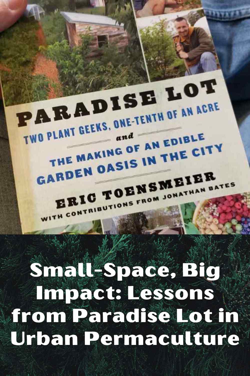 Small-Space, Big Impact: Lessons from Paradise Lot in Urban ...