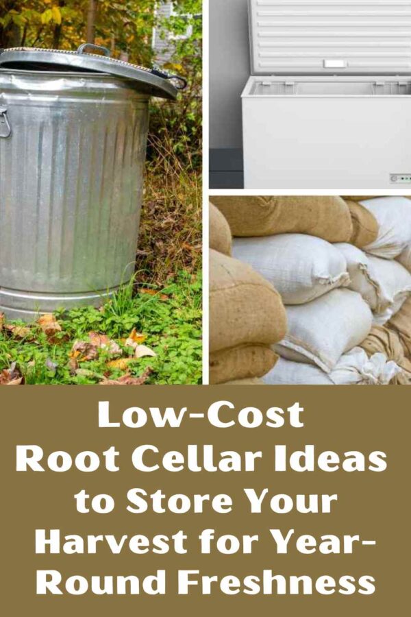 Low Cost Root Cellar Ideas to Store Your Harvest for Year-Round ...