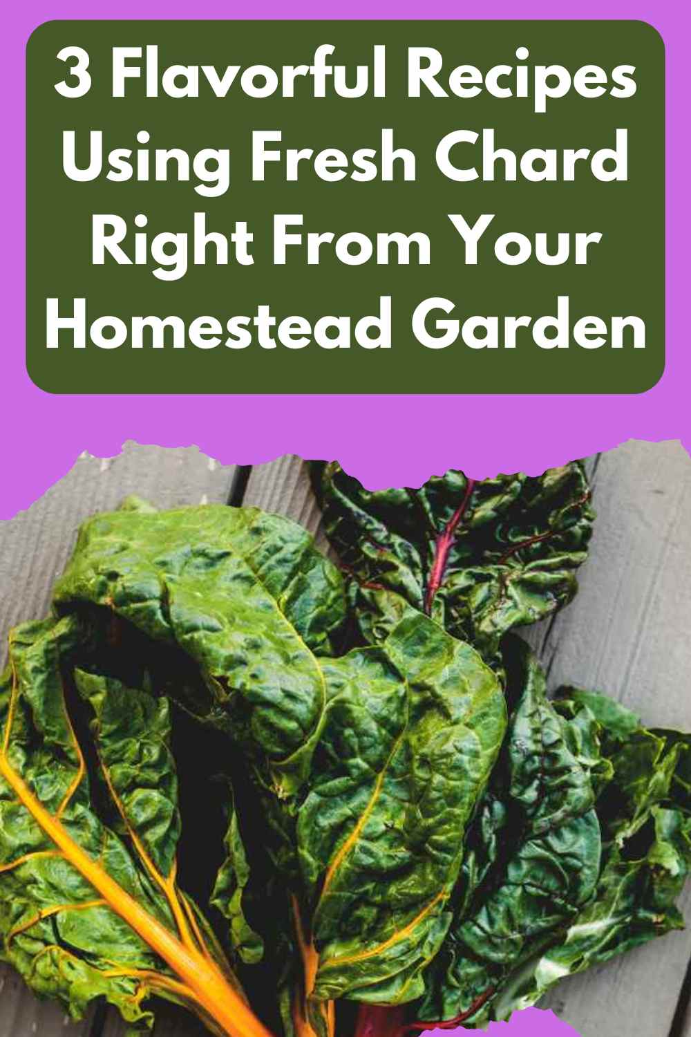 3 Flavorful Recipes Using Fresh Chard Right From Your Homestead Garden ...