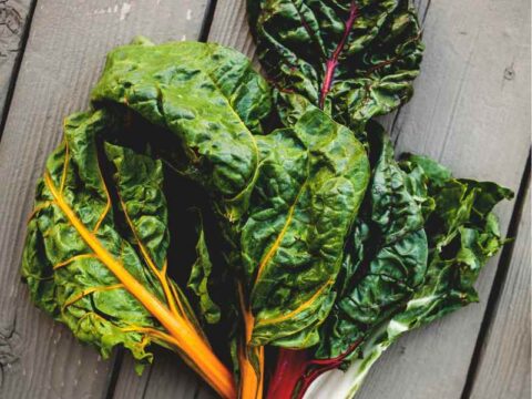 3 Flavorful Recipes Using Fresh Chard Right From Your Homestead Garden ...