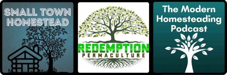 Guild Planting: How Plants Can Work Together - Redemption Permaculture