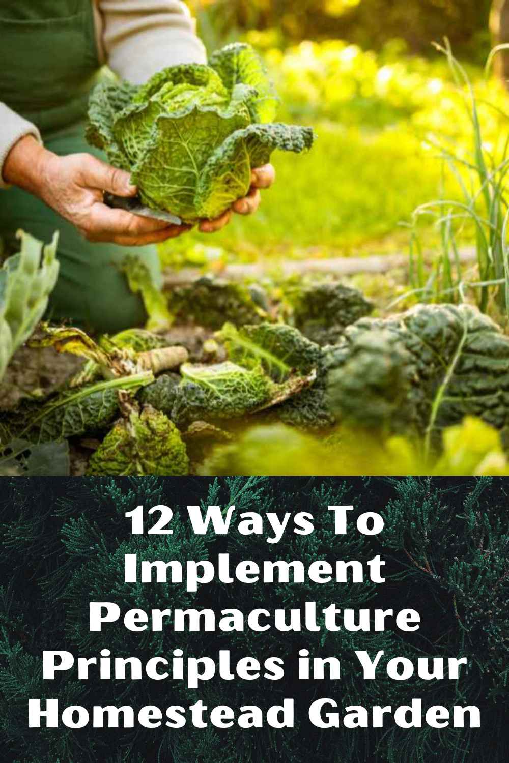 12 Ways To Implement Permaculture Principles in Your Homestead Garden ...