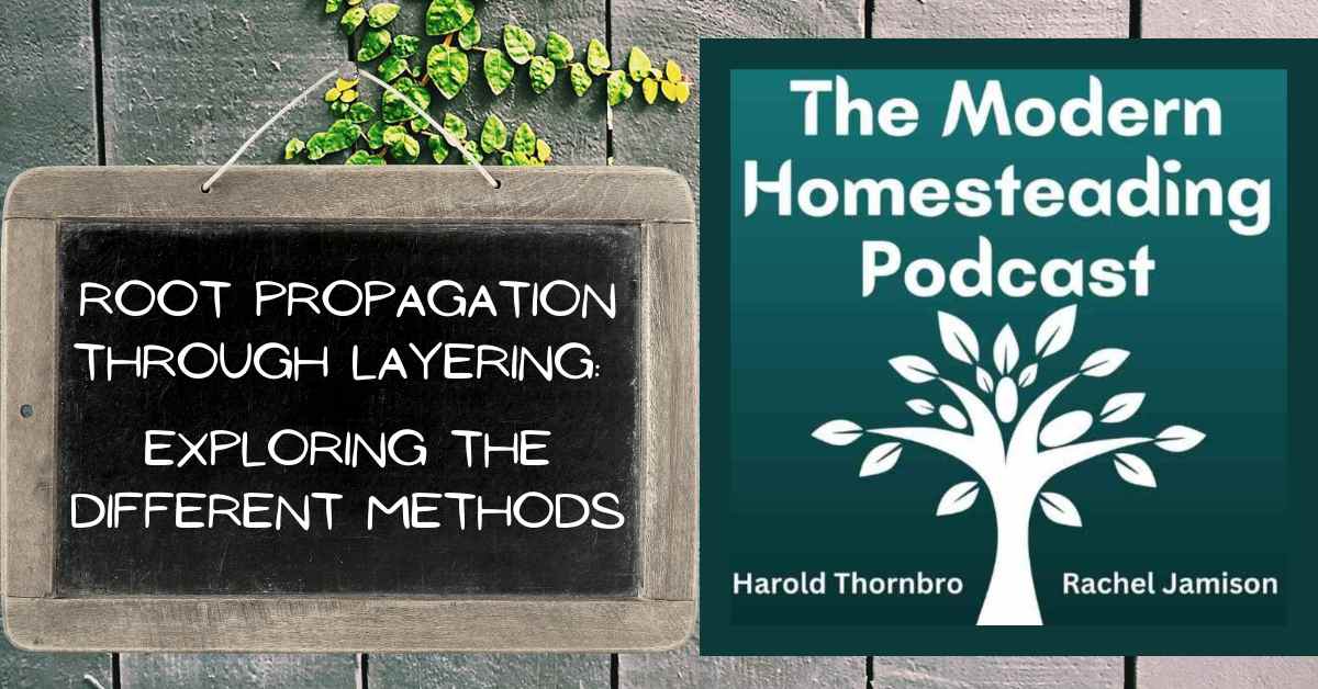 Root Propagation Through Layering: Exploring The Different Methods ...