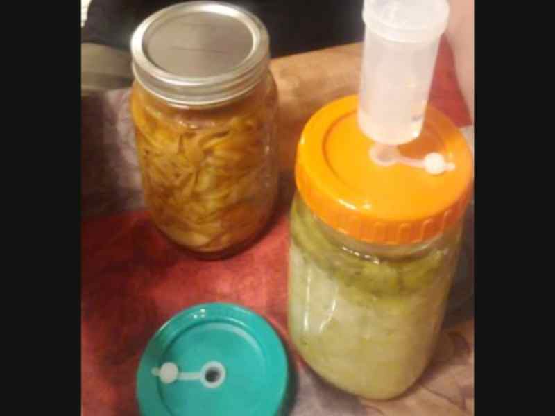 This Elementi Fermentation Kit Just Makes It Easier - The Small Town Homestead