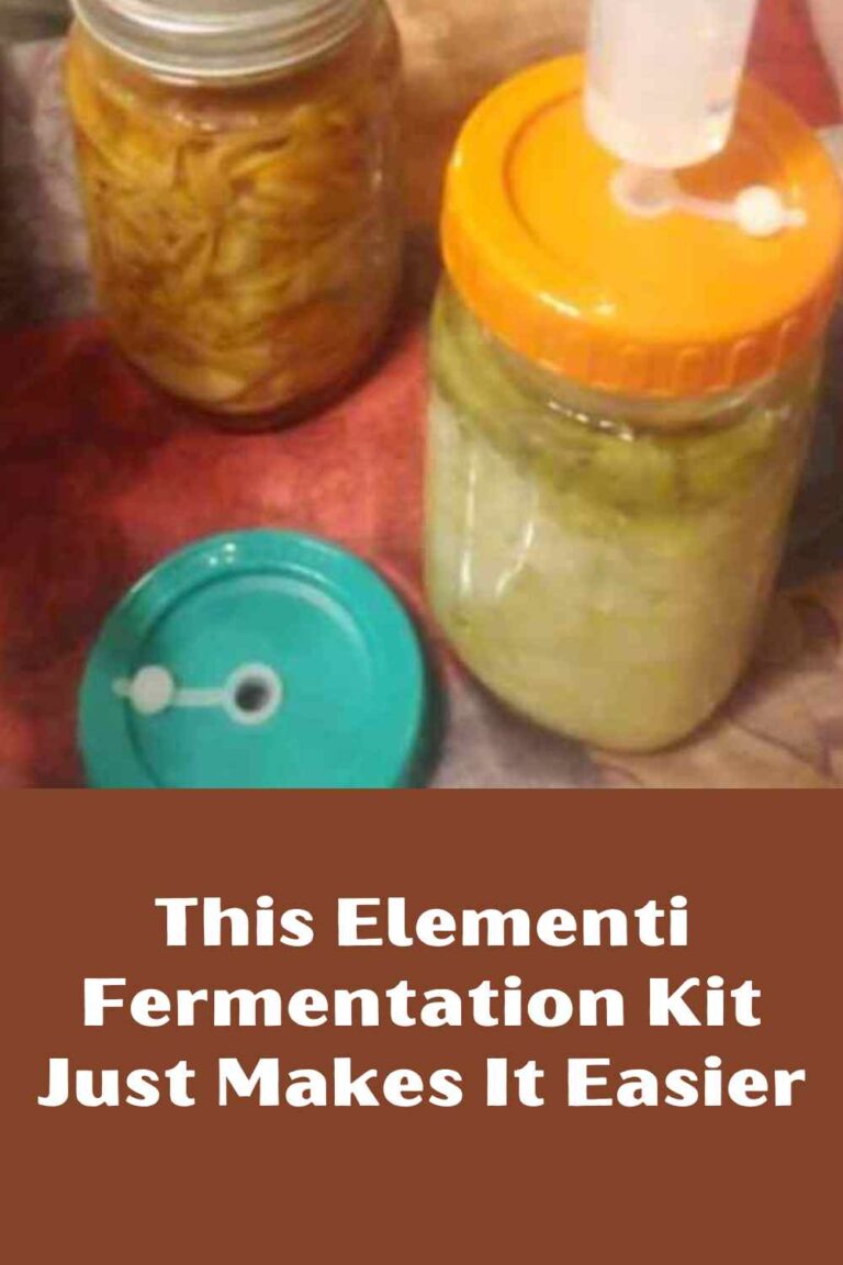 This Elementi Fermentation Kit Just Makes It Easier - The Small Town ...