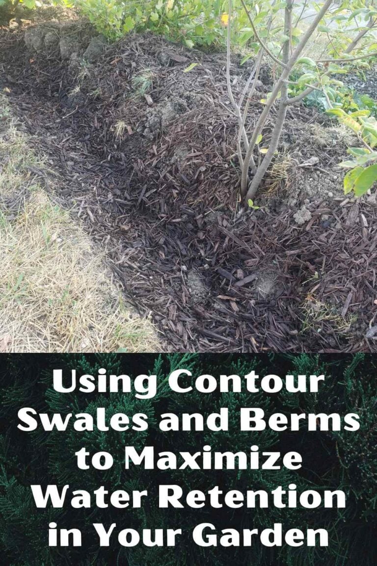 How To Build Contour Swales and Berms: Maximize Your Garden's Water ...