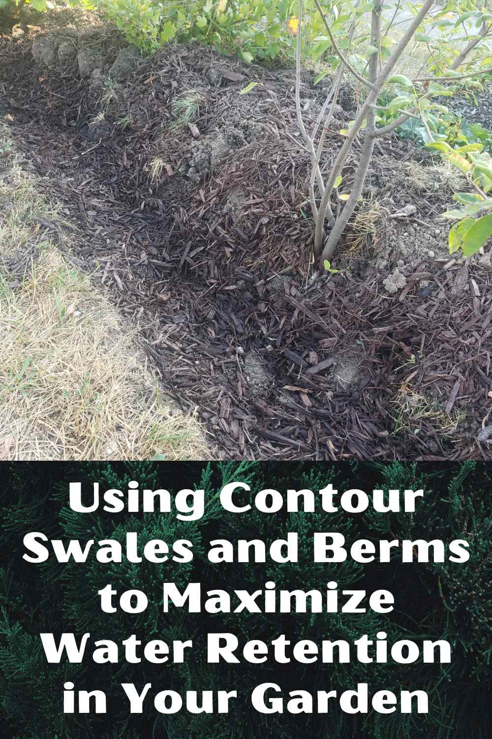 How To Build Contour Swales and Berms: Maximize Your Garden's Water ...