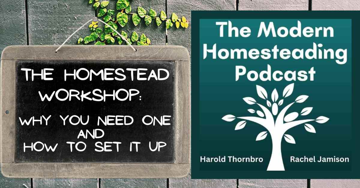 A Beginners Guide To Building Guilds On Your Permaculture Homestead ...