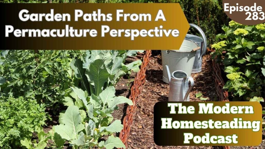 A Beginners Guide To Building Guilds On Your Permaculture Homestead ...